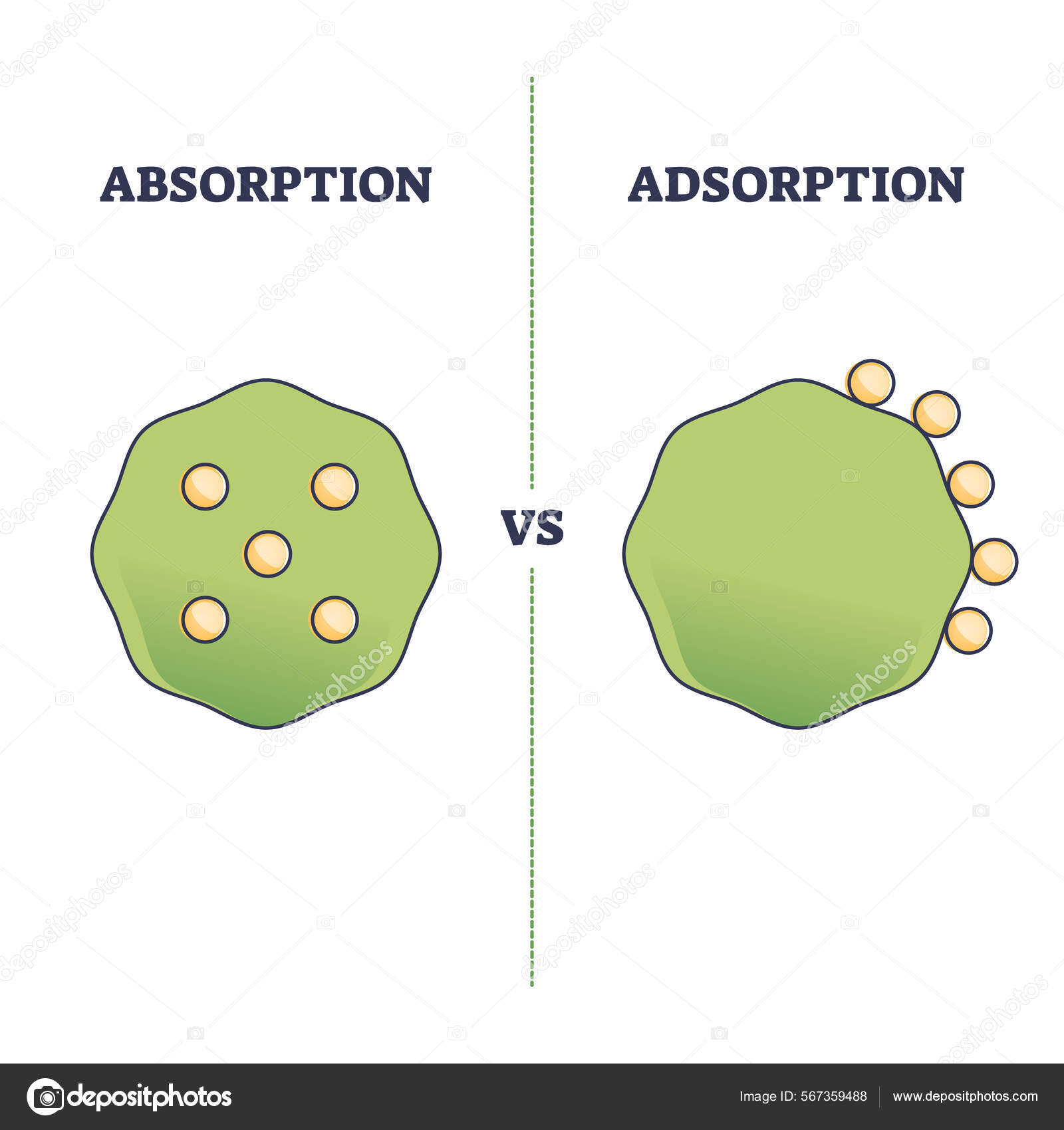 Absorption And Adsorption Stock Vector Illustration Of