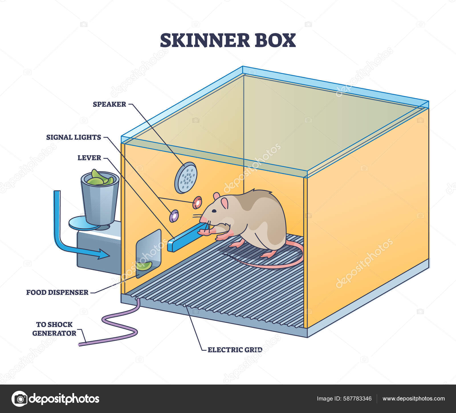 Skinner Box Operant Conditioning Chamber Experiment Outline Diagram ...