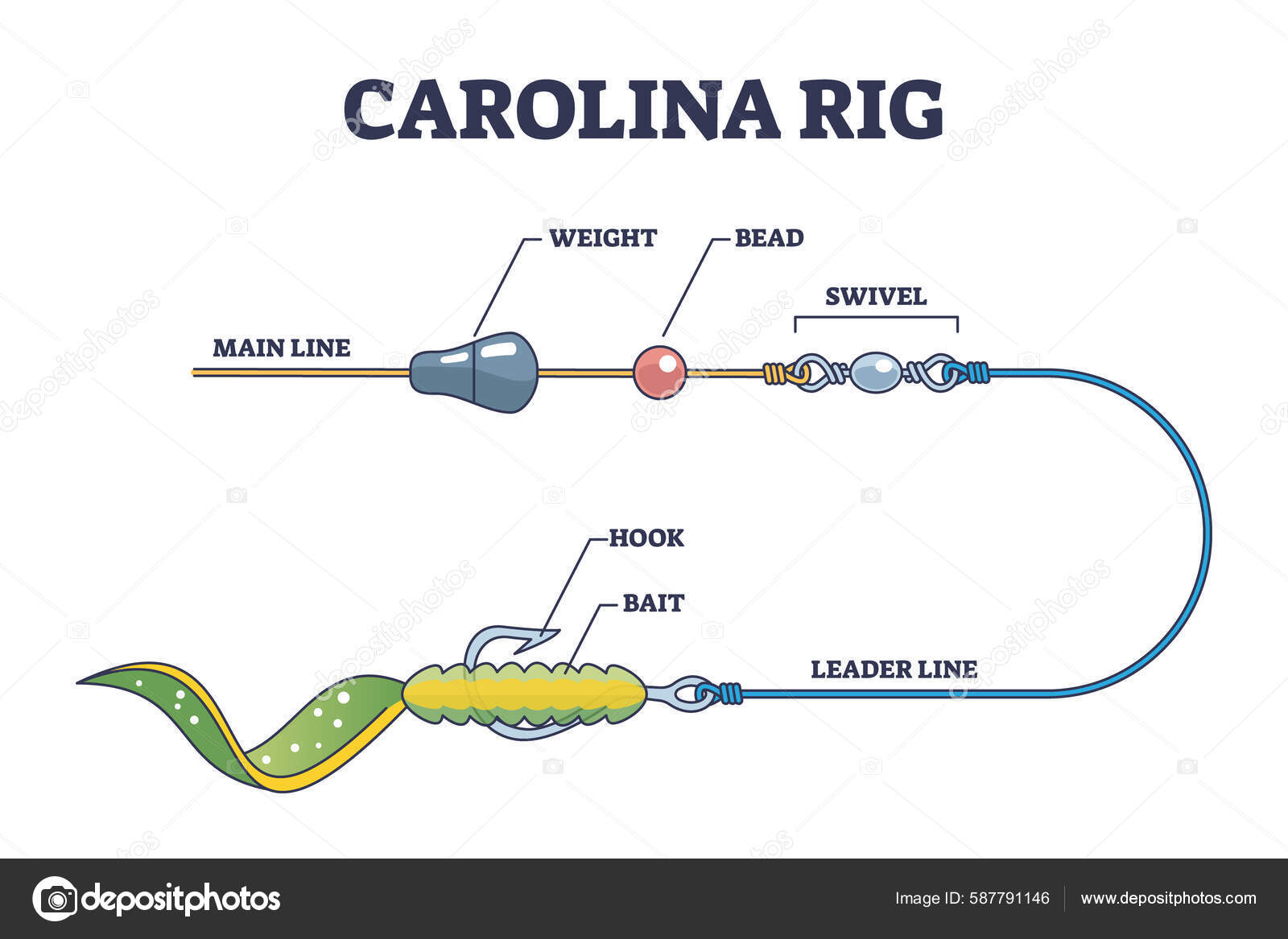 Carolina Rig Fishing Bait Method Bass Fish Catching Outline Diagram ...