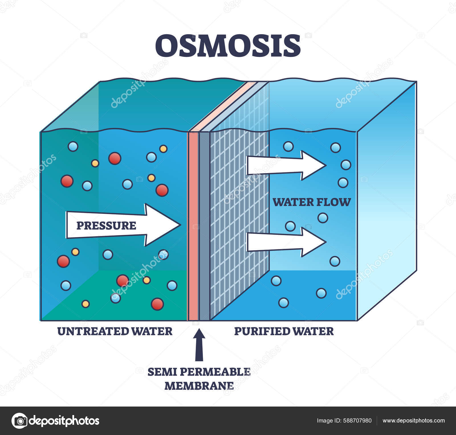 Osmosis Process Explanation Untreated Water Purification Outline ...