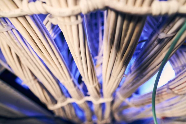 Structured cabling Stock Photos, Royalty Free Structured cabling Images ...