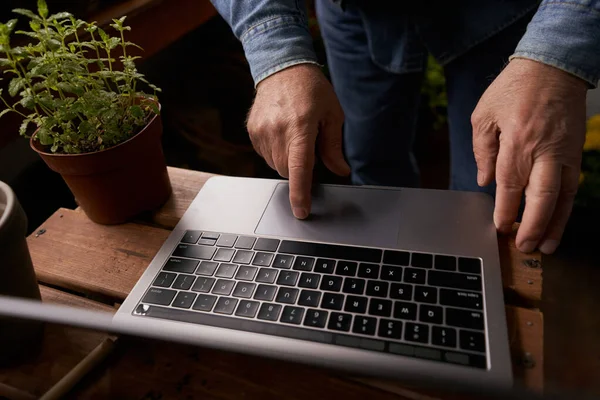 Human head top view Images - Search Images on Everypixel