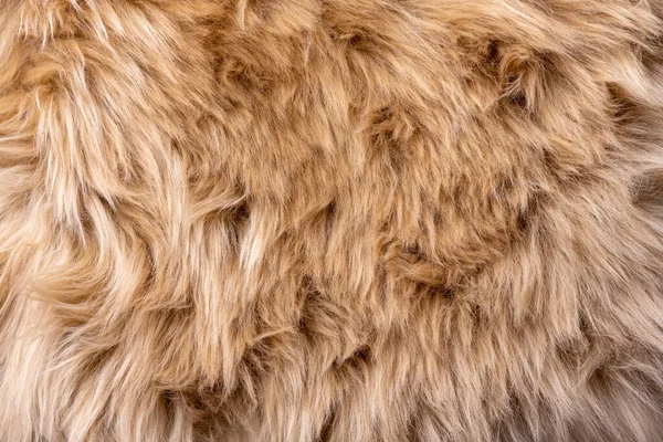 Fur Texture Top View Brown Fur Background Fur Pattern Texture — Stock ...