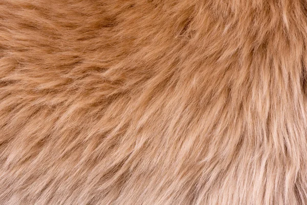 Fur texture Images - Search Images on Everypixel