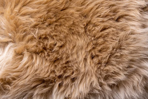 Fur Texture Top View Brown Fur Background Fur Pattern Texture — Stock ...