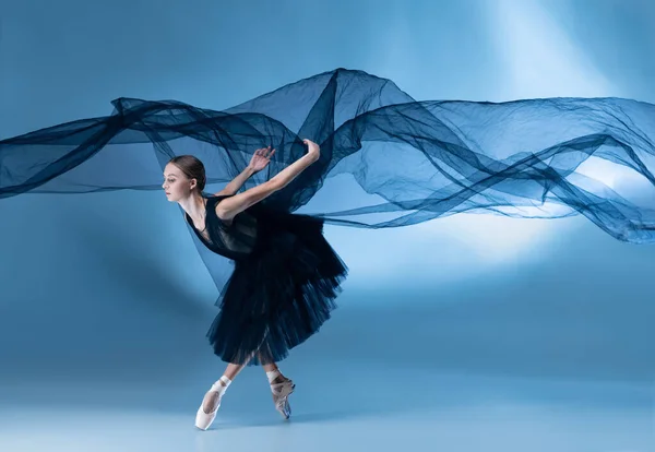 Bailarina ballet Stock Photos, Royalty Free Bailarina ballet Images ...