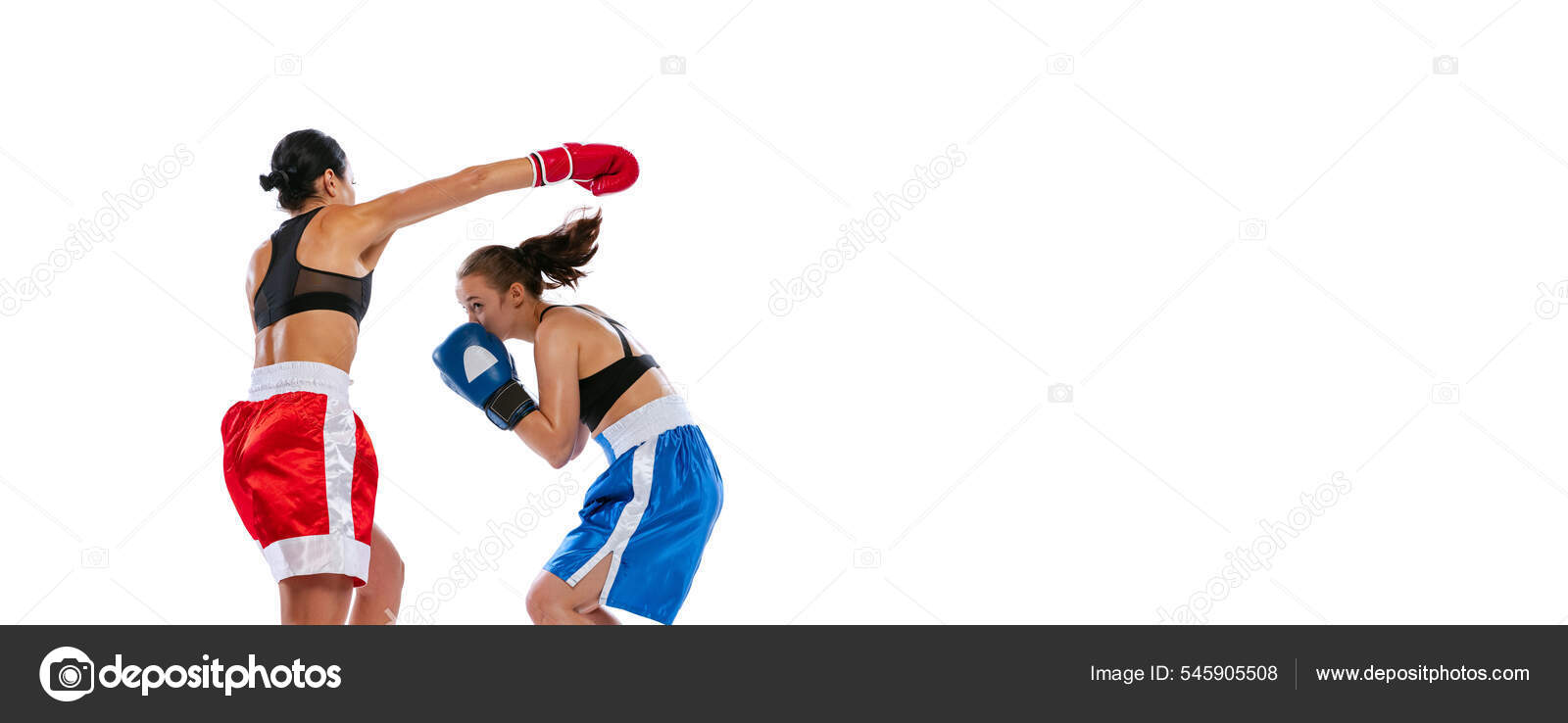 Two woman professional boxers boxing isolated on white studio ...