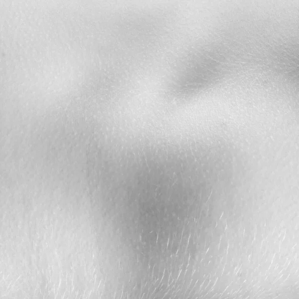 White skin texture Stock Photos, Royalty Free White skin texture Images ...