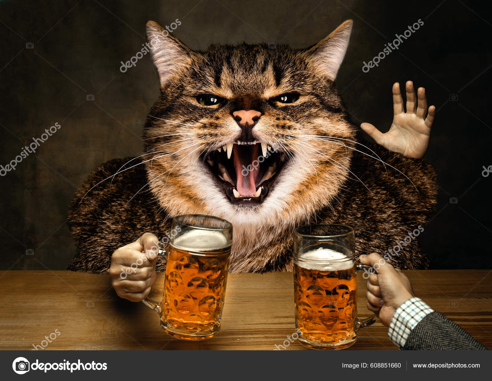 Funny Drinking Beer Pictures