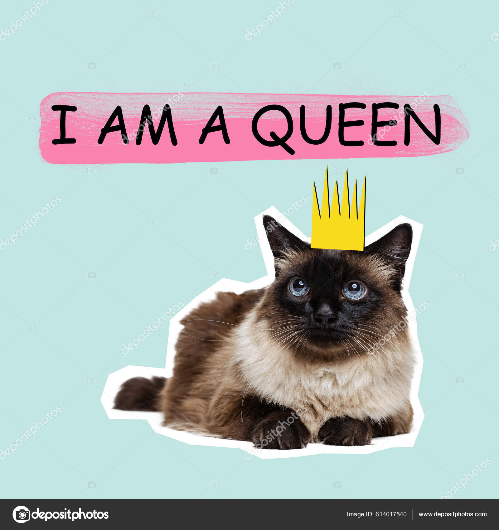 Human To Cat Transformation