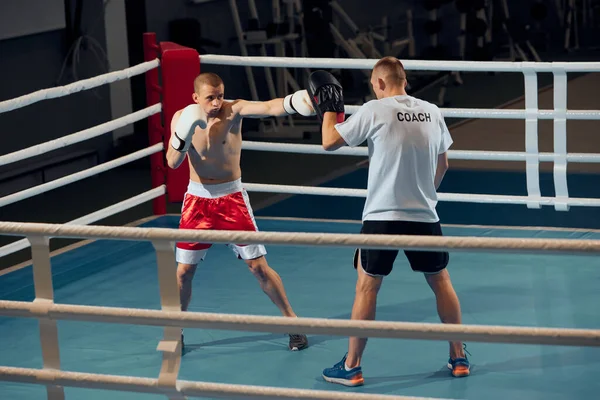 Practicing punch. Professional boxer training with personal coach or ...