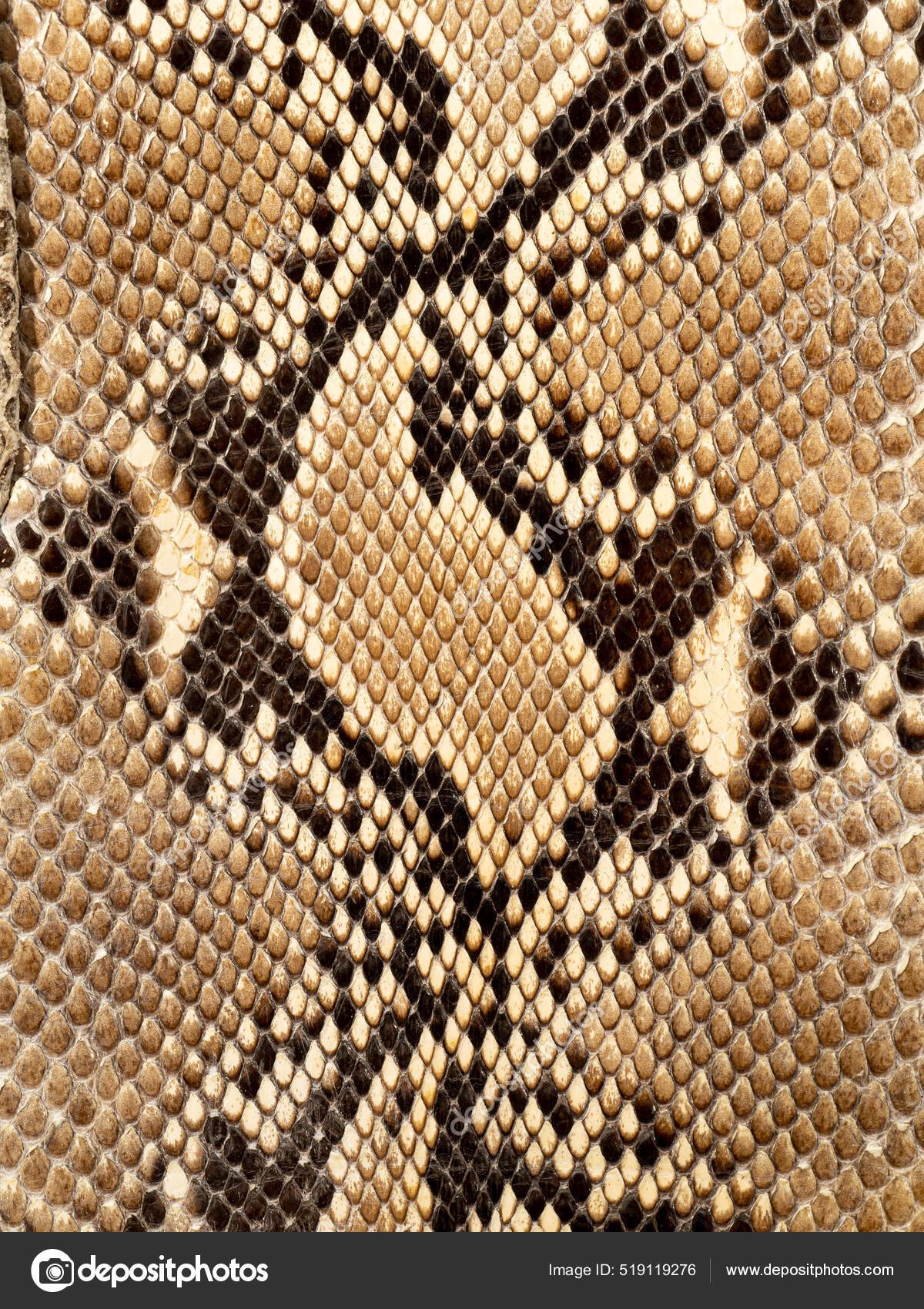 Close Tanned Skin Reticulated Python Malayopython Reticulatus Scales ...