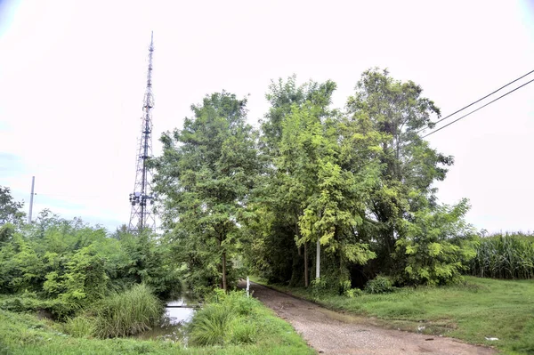 Cellular network panorama Stock Photos, Royalty Free Cellular network ...