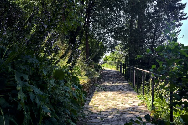 Italian Garden Paths