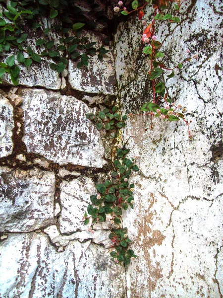 Grotto wall Stock Photos, Royalty Free Grotto wall Images | Depositphotos