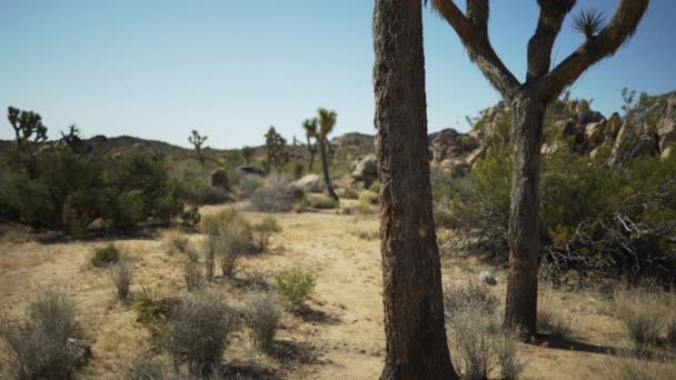 Deseret Plants Valley Highway Distance Green Screen Chroma Key Out ...