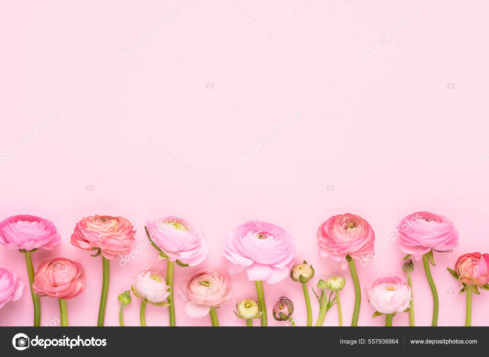 Tumblr Light Pink Photography