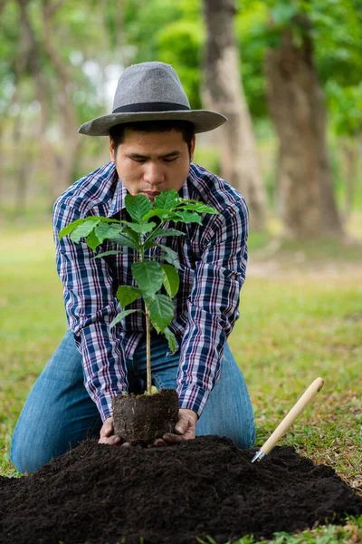 A tree planting student Stock Photos, Royalty Free A tree planting ...