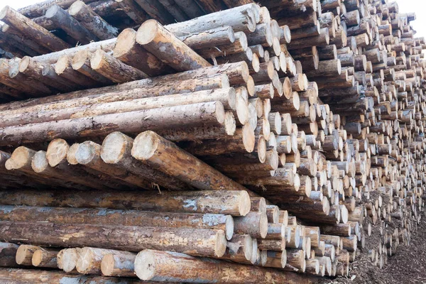 Kiln drying lumber Stock Photos, Royalty Free Kiln drying lumber Images ...