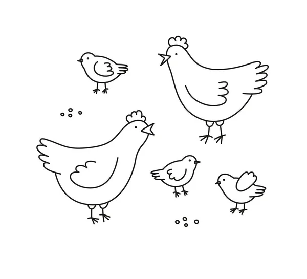 100,000 Poules dessin Vector Images | Depositphotos
