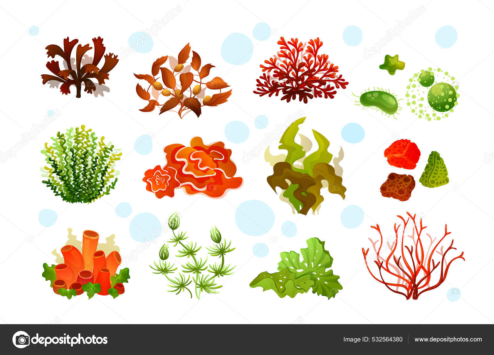 Flora Marina Submarina Flora Del Acuario Marino Arrecife Coral Algas ...