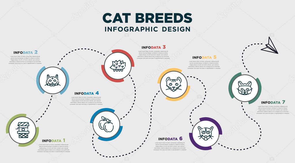 infographic template design with cat breeds icons. timeline concept ...