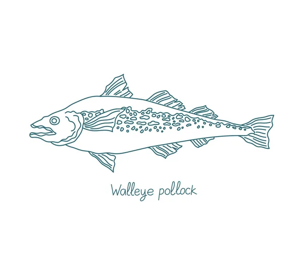 100,000 American walleye Vector Images | Depositphotos