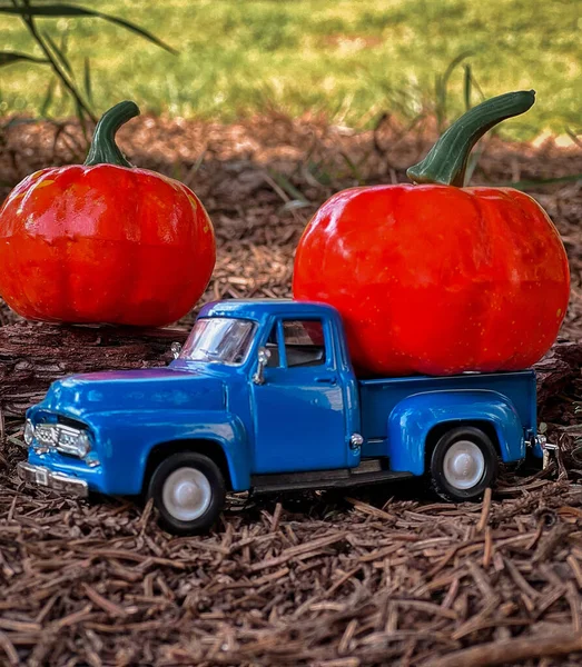 Car model pickup miniature and decorative pumpkin, fruit and vegetable ...