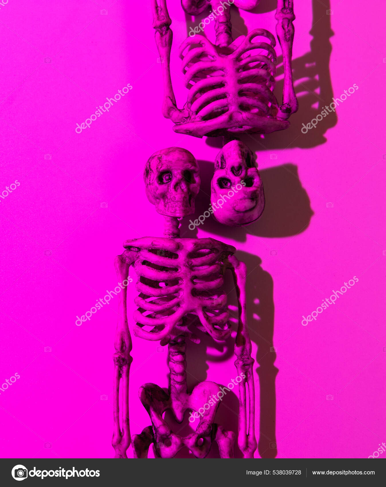 Two Dummies Human Skeletons Together Lie Purple Background Oncept ...