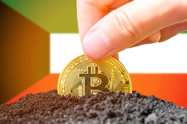 Banco nacional do kuwait Stock Photos, Royalty Free Banco nacional do ...