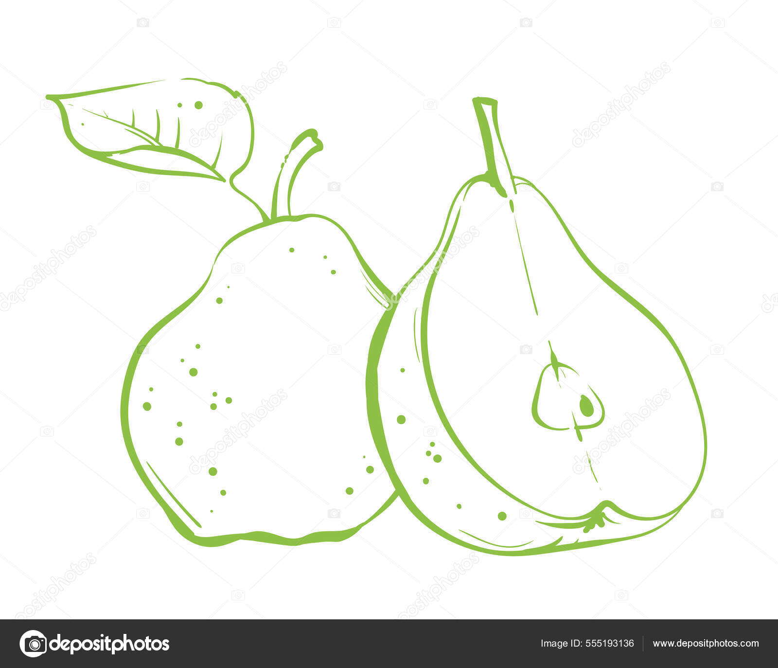 Pear Half Pear Vector Drawing Stock Vector by ©slavno100 555193136