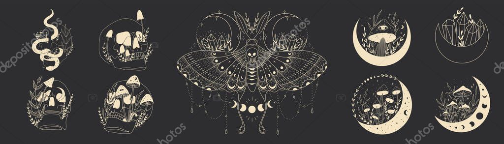 Celestial snake Vector Art Stock Images | Depositphotos