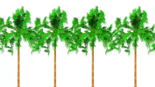 Palm tree planting Stock Photos, Royalty Free Palm tree planting Images ...