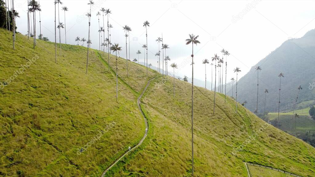 vista aérea del valle del Cocora en el área de cafetera cerca de la ...