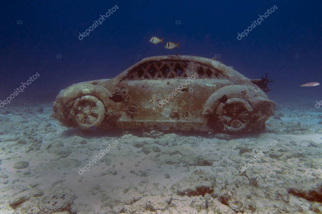 MUSA - El Museo de Arte Submarino en Isla Mujeres cerca de Cancún en ...