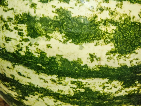 Obra de arte natural Stock Photos, Royalty Free Obra de arte natural ...