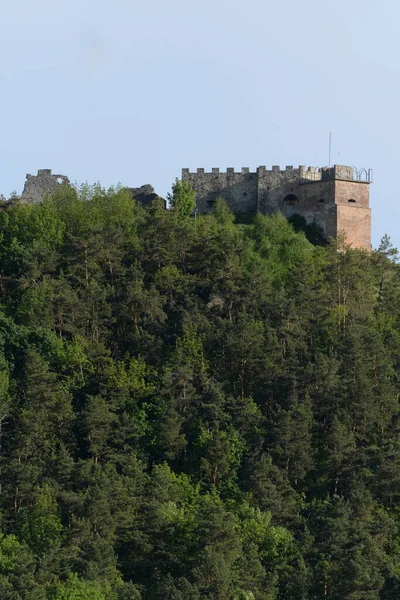 Tiger castle Stock Photos, Royalty Free Tiger castle Images | Depositphotos