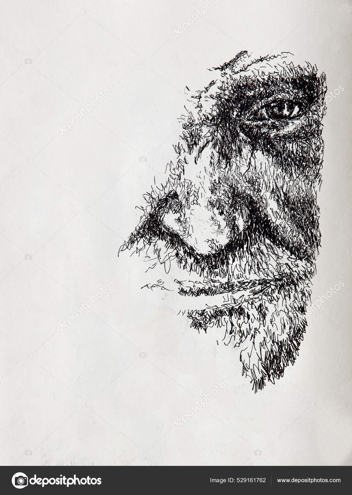 Old Face Illustration Detailed Close Drawing Old Man's Face Drawn Stock ...