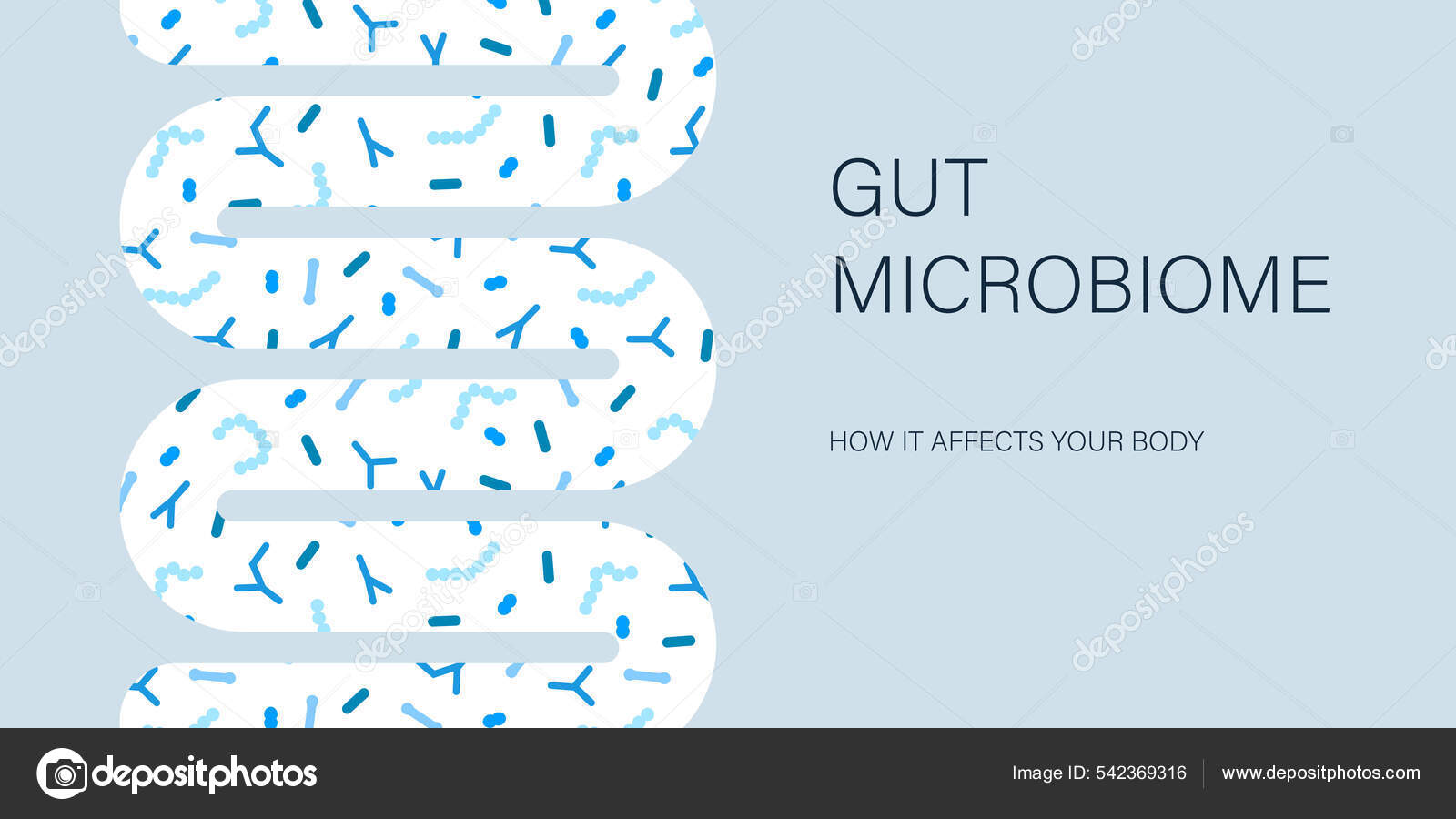 Darm-Mikrobiom-Banner. Mikrobiota des menschlichen Darms mit gesunden ...