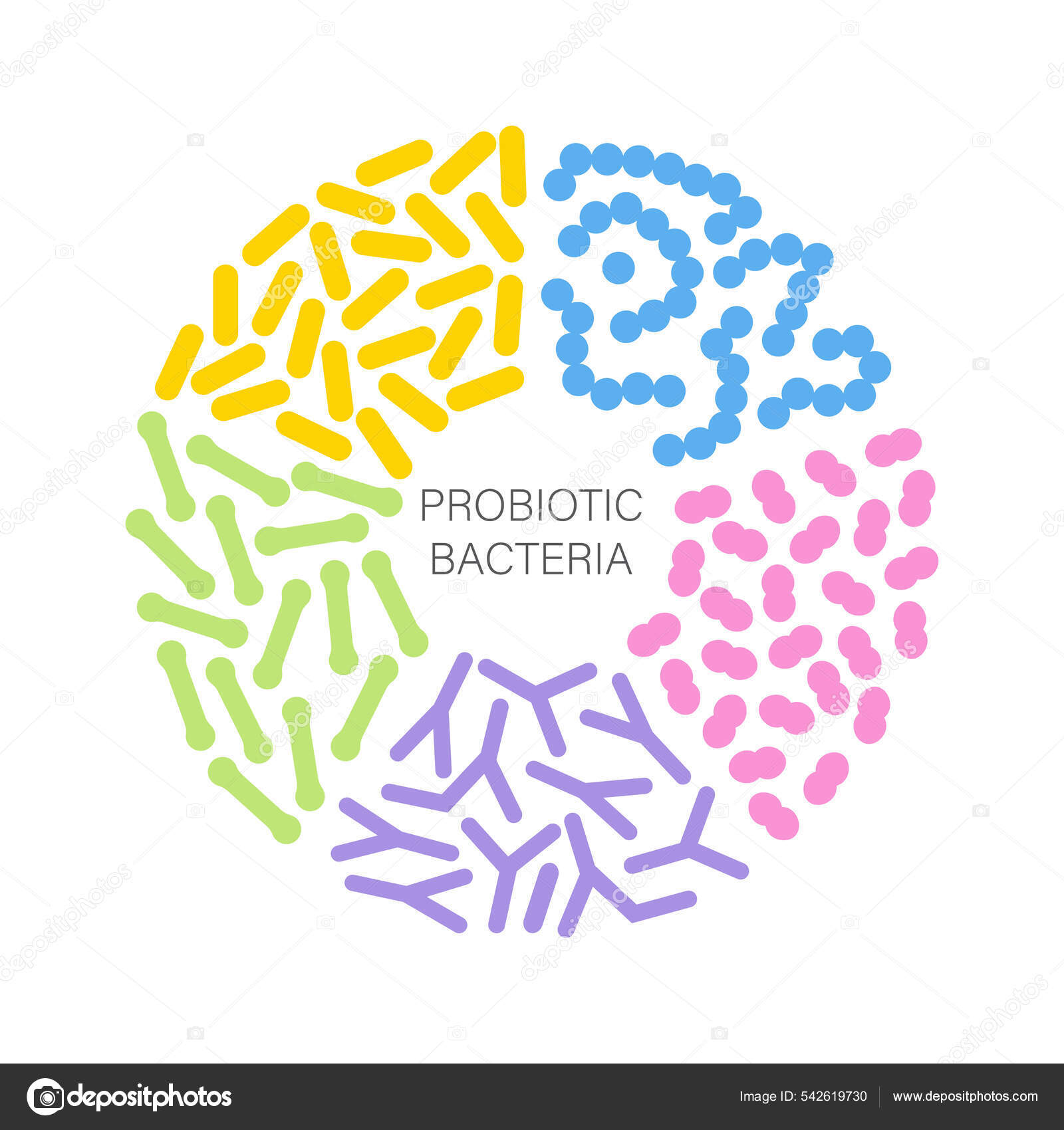 Probiotic bacteria set in circle. Gut microbiota with healthy prebiotic ...