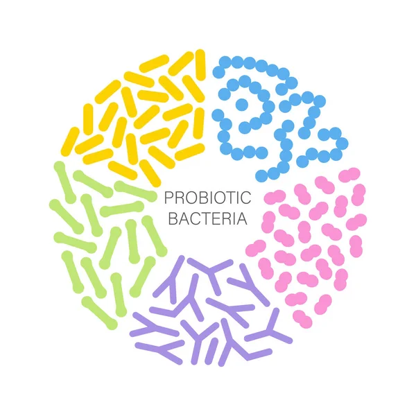 100,000 Probiotic foods Vector Images | Depositphotos