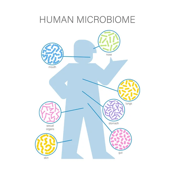 Darm-Mikrobiom-Banner. Mikrobiota des menschlichen Darms mit gesunden ...