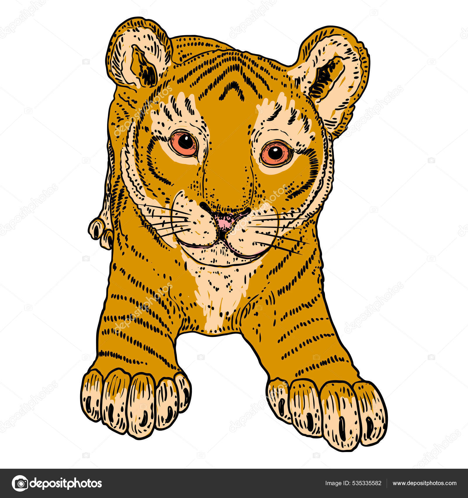 Knurring Av Hvit Tiger Hvit Tiger – Stockfoto © Anankkml #28283301
