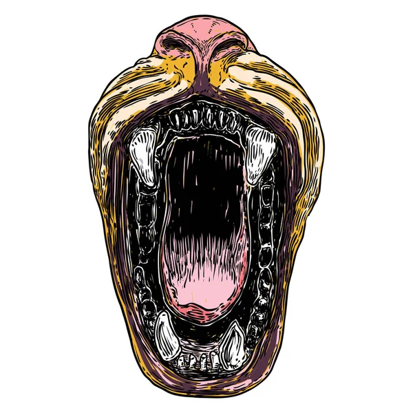 160 Maw Vector Images | Depositphotos