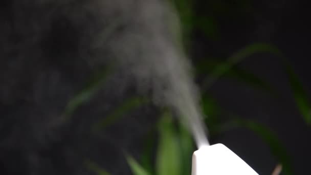 13,534 Mind health Videos, Royalty-free Stock Mind health Footage ...