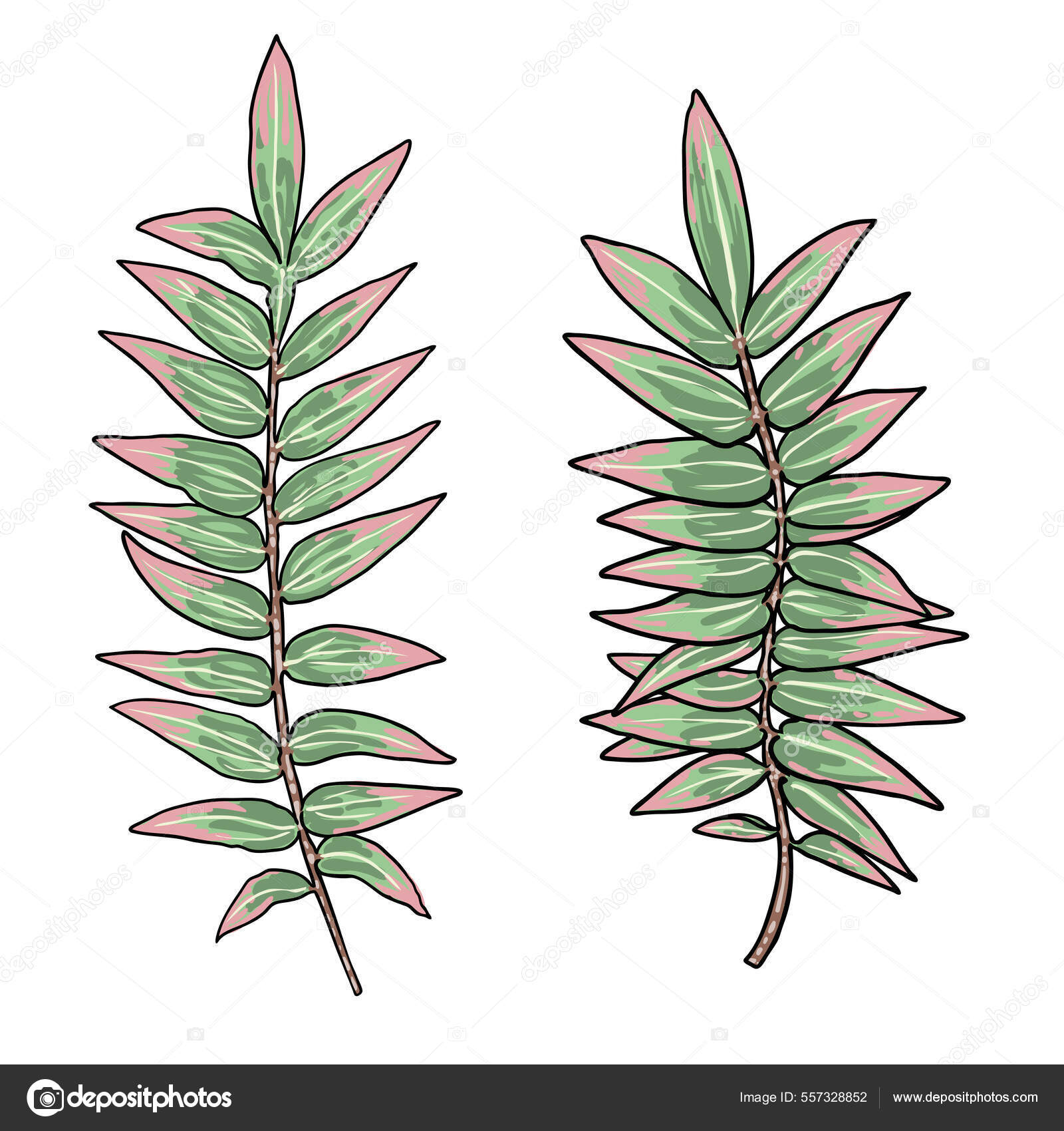Set Green Forest Ferns Hand Drawn Art Foliage Made Real Stock Vector ...