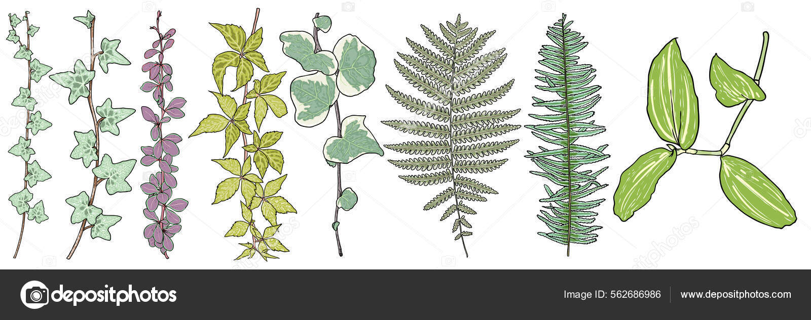 Leaves Drawing Tumblr