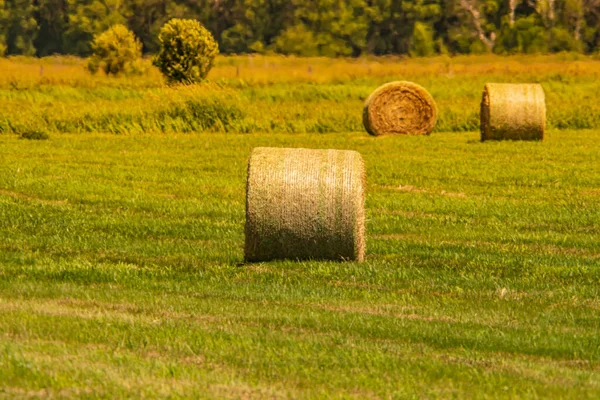 Field in bales Stock Photos, Royalty Free Field in bales Images ...