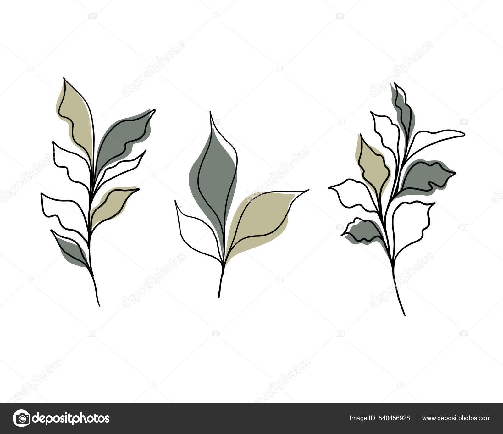 Set Line Art Plants Geometry Colored Shapes Modern Trendy Background ...