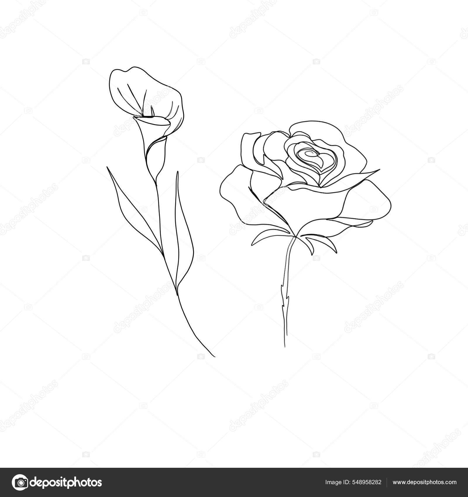 Line art drawing of flowers. set line art set of flowers feces and rose ...